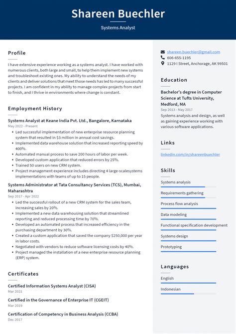 Systems Analyst Resume Example And Writing Guide Resumelawyer