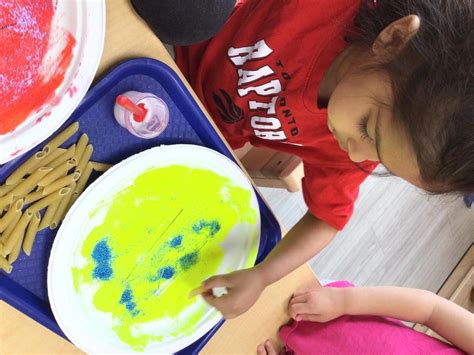 Summer Camp At Ashwood Glen Private School Part 2