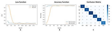 Jpm Free Full Text Using Efficientnet B7 Cnn Variational Auto