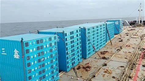 113年06月05日 出海【70公里】 Youtube