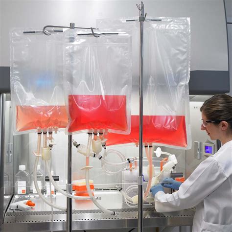 Cell Culture Media Market To Reach Usd 67 Billion By 2034 Growing At