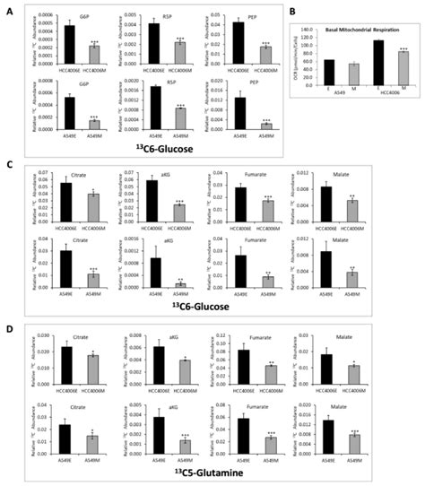 De Novo Lipid Synthesis Is Decreased In Isogenic Mesenchymal Cell