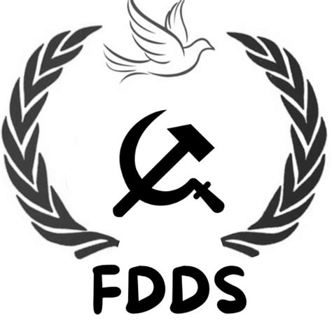 Fdds International Youtube