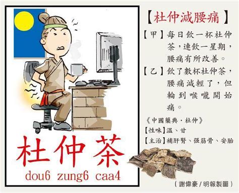 杜仲茶紓背痛 多飲燥熱喉痛 明報 LINE TODAY