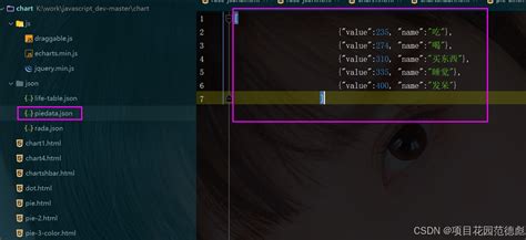【web前端实战】echarts常见饼图图表，饼图，环形图（轮胎图），玫瑰图实现【附学习教程】前端饼图 Csdn博客
