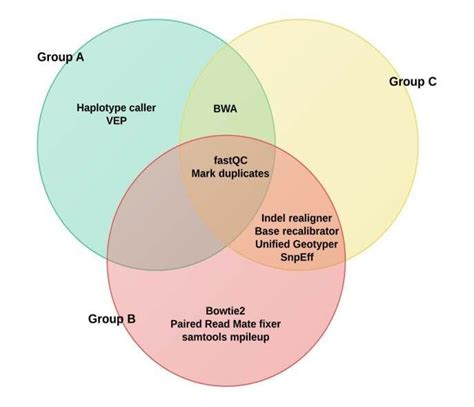 Comparison Of Tools Used For Alignment Variant Calling And Quality Download Scientific Diagram