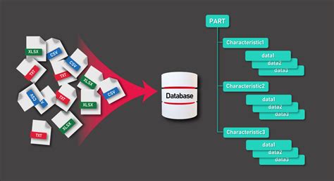 Data Management Services Process Artz