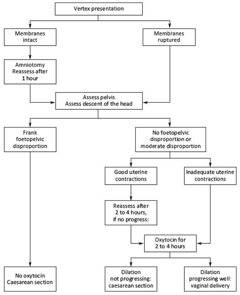 Management Of The First Stage Of Labor Chapter 4 A 56 Off