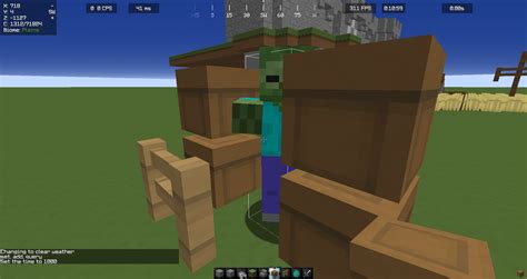 Hitbox Render Order Incorrect Rminecraft