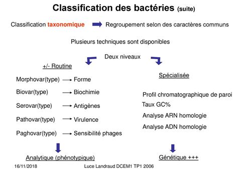 Microbiology Classification Bactérienne La Science Des