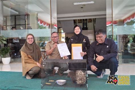 Environmental Communication Study Center Of Unpad Hands Over Javanese Porcupine To West Java