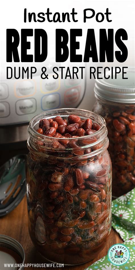 Instant Pot Red Beans Authentic Honduran Recipe One Happy Housewife