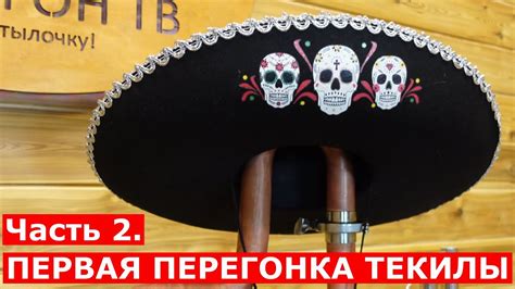 ДОМАШНЯЯ ТЕКИЛА 100% ГОЛУБАЯ АГАВА ПЕРВАЯ ПЕРЕГОНКА ИСТОРИЯ ПОЯВЛЕНИЯ ...