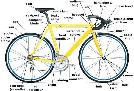Bike Anatomy Everything You Need To Know About Your Bicycle Bicycle