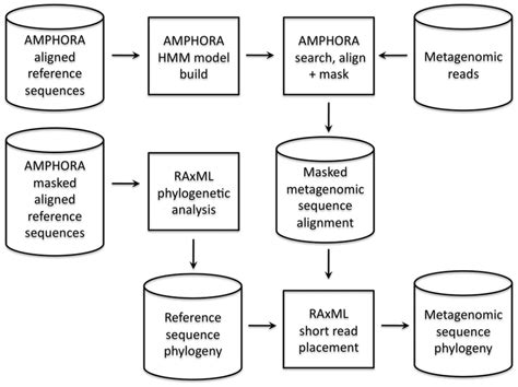 Conceptual Overview Of Approach To Infer Phylogenetic Relationships Download Scientific Diagram