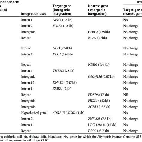 Phic31 Integrase Mediated Transgene Integration Sites In Clecs Download Table