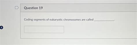 Solved Question 19coding Segments Of Eukaryotic Chromosomes