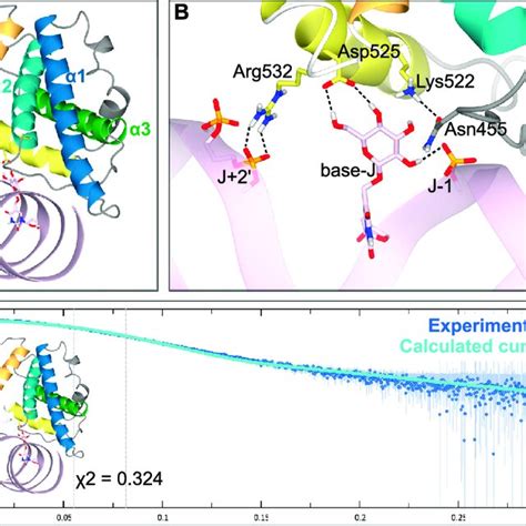 Crystal Structure Of The J Dna Binding Domain With An Ordered Loop A Download Scientific