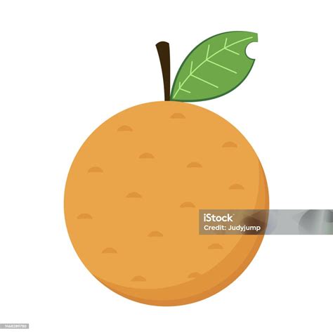 용안 벡터 건강한 라이프 스타일을위한 여름 열대 과일 용안 과일 벡터 일러스트 레이 션 만화 평면 아이콘은 흰색으로 격리 되어 있습니다 0명에 대한 스톡 벡터 아트 및 기타