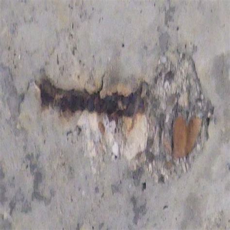 Concrete Defect Detection Object Detection Dataset V Pm By SHM