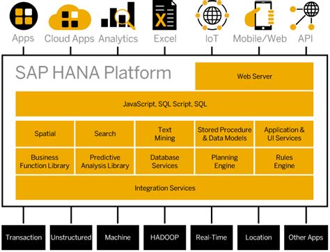 What Is Sap Suite On Hana Soh Itpfed