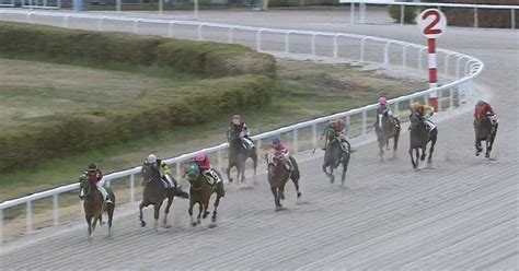 42笠松競馬と闘うnote10r勝負レースパドック後予想3連単｜馬人all The People