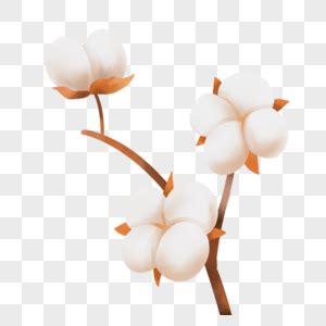 棉花元素素材下载 正版素材401533822 摄图网