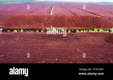 Drone View Of Peat Bog And Peatlands A Vast Peat Extraction Field With Large Peat Piles Nature