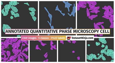 Annotated Quantitative Phase Microscopy Cell Dataset Ninja