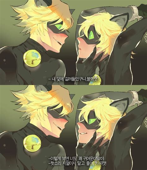 Ladynoir Adrinette Marichat And Ladrien Miraculous Ladybug