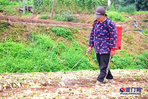 厦门：春耕春播忙 不负好春光 新闻频道厦门网