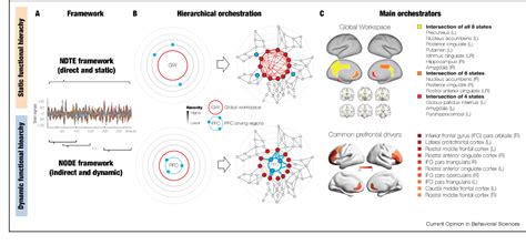 Figure 1 From Prefrontal Cortex Drives The Flexibility Of Whole Brain Orchestration Of Cognition