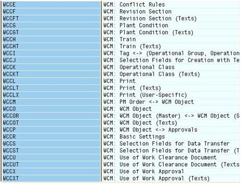 Sap View Program Tcode Masterguild