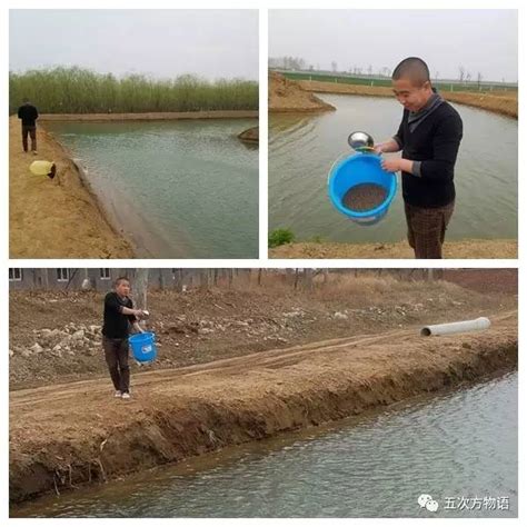 那些关于小龙虾的谣言