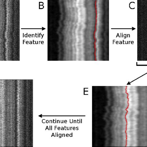 Effect Of Time Axis Length On Aligned Kymograph Noise Kymographs With