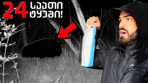 24 საათი გავჩერდი უღრან ტყეში Youtube