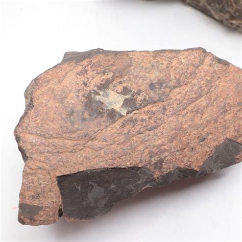 Pseudofossil Concretion Ebth Pseudofossil Concretion Ebth