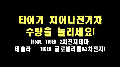 타이거 차이나전기차 수량을 늘리세요 Feat 타이거2차전지테마 테슬라 타이거글로벌리튬and2차전지 Youtube