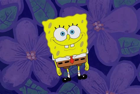 How Tall Is Spongebob The Sponge Bob Club