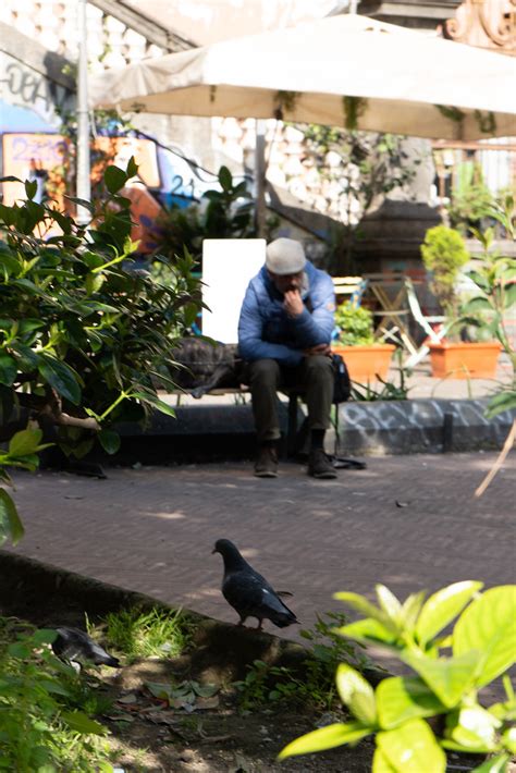 Assignment6all Flickr