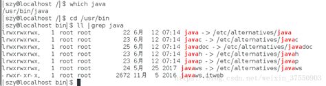 解决linux配置javahome 不生效问题linux Java Home配置不正确 Csdn博客