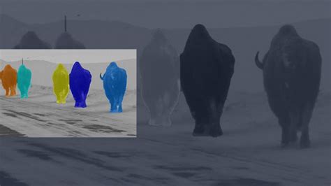 gary gunterman on linkedin image processing with matlab
