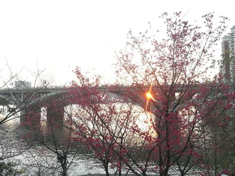 Ardl模型stata命令二值模型的stata命令 Csdn博客