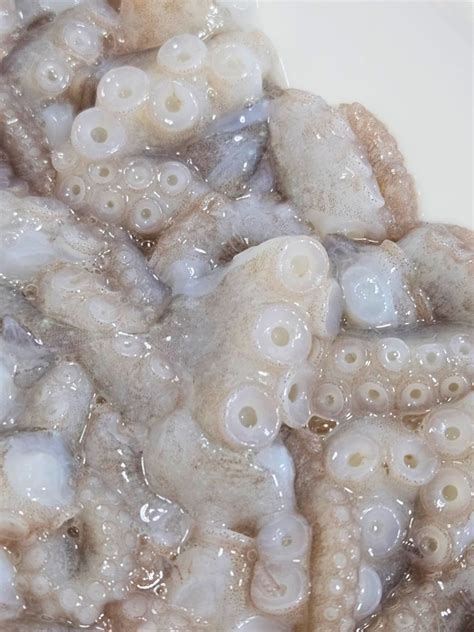 낙지 탕탕이 만들기