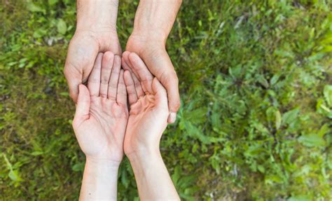 Organspende In 2024 Die Neuen Dso Statistiken Sind Da