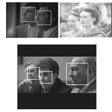 Multi View Face Examples Download Scientific Diagram
