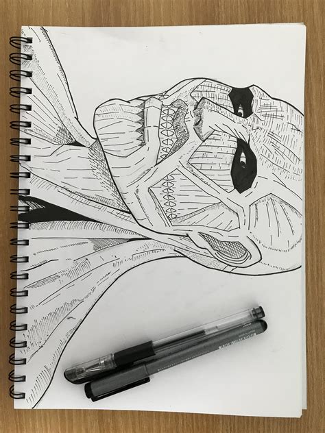 Colossal Titan Pen Drawing By Me Scrolller