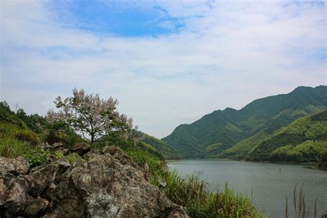 金华十大水库排名 金华哪个水库最大 金华市水库库容 第2页 大山谷图库