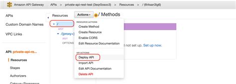 基于amazon Api Gatewy的跨账号跨网络的私有api集成 亚马逊aws官方博客