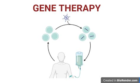 Gene Therapy Definition Classification Types Procedure